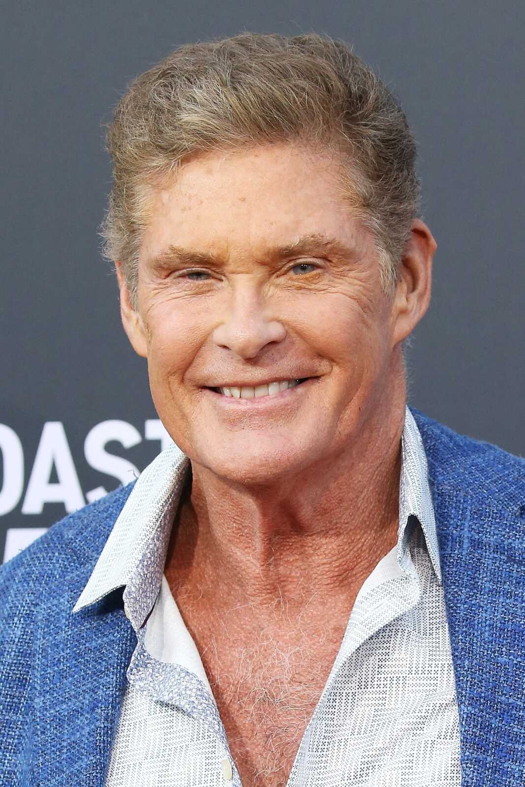 David Hasselhoff Wallpapers (37 images) - WallpaperCat