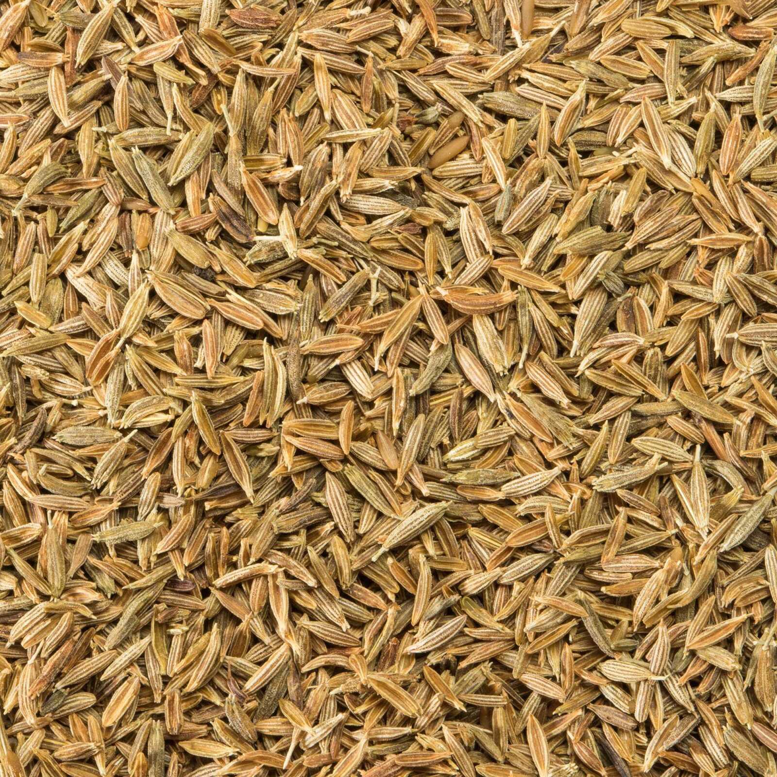 Cumin Wallpapers (16 images) - WallpaperCat