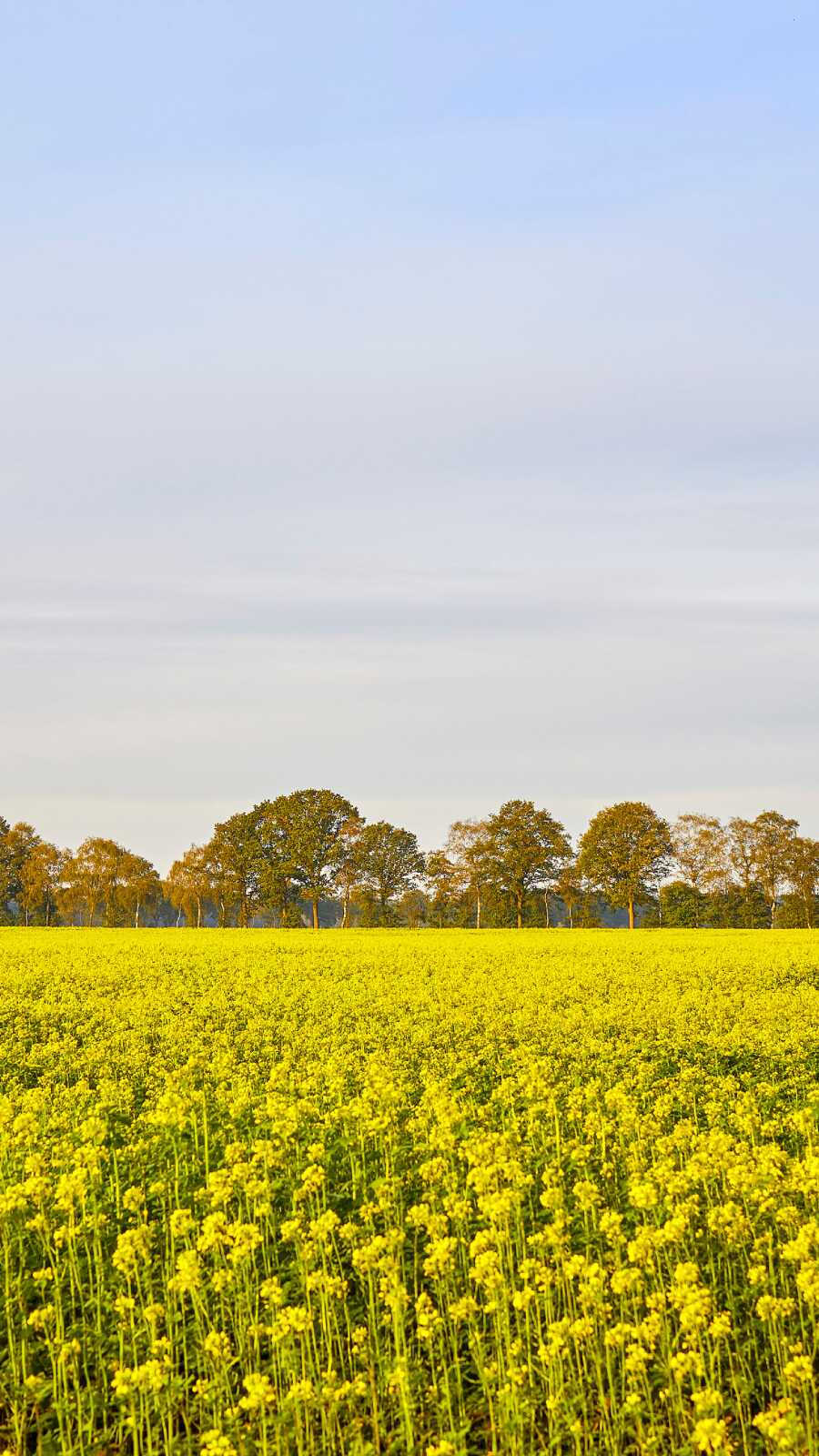 Farm Wallpapers (97 images) - WallpaperCat