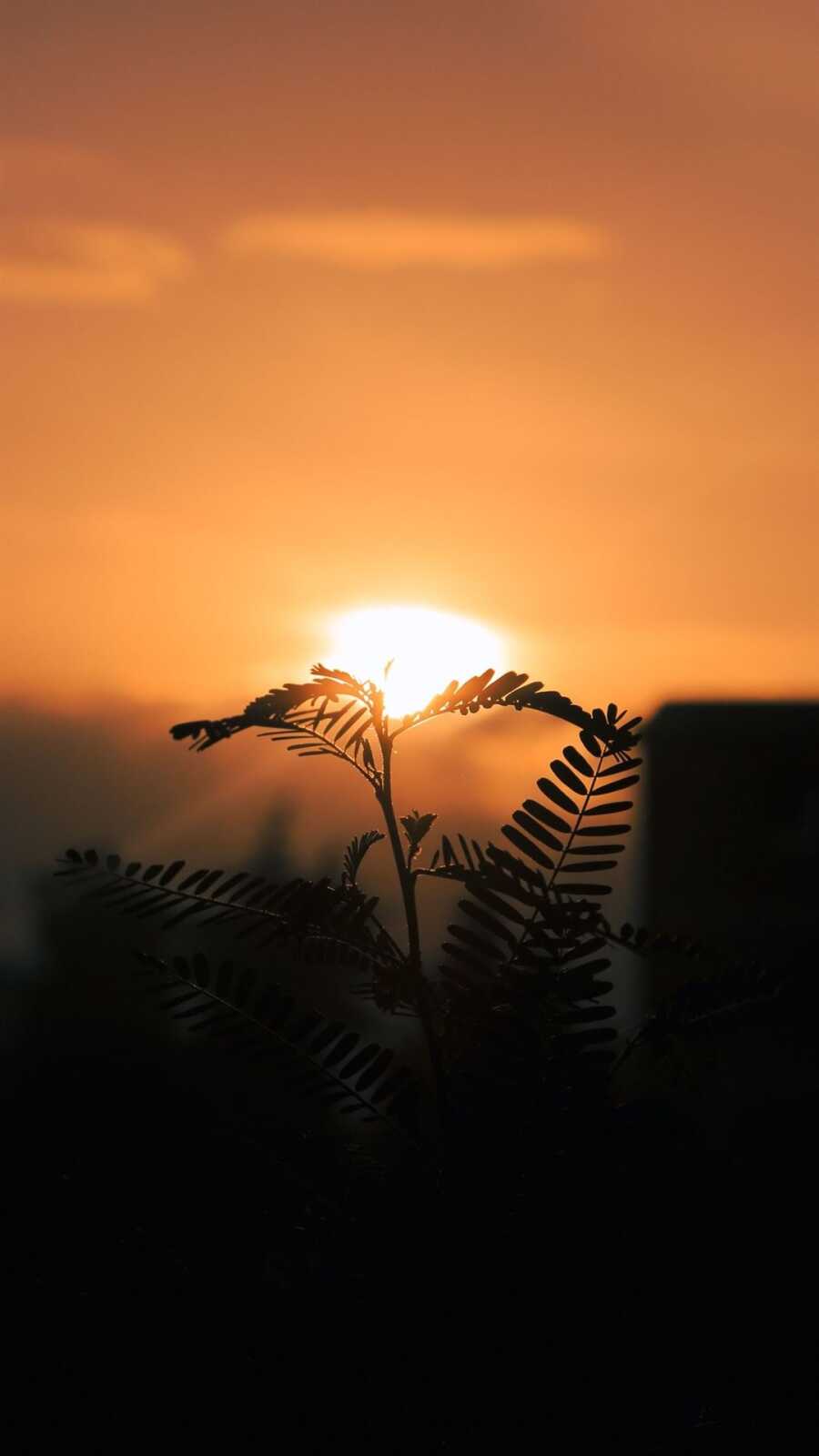 Ethiopia Wallpapers (38 images) - WallpaperCat