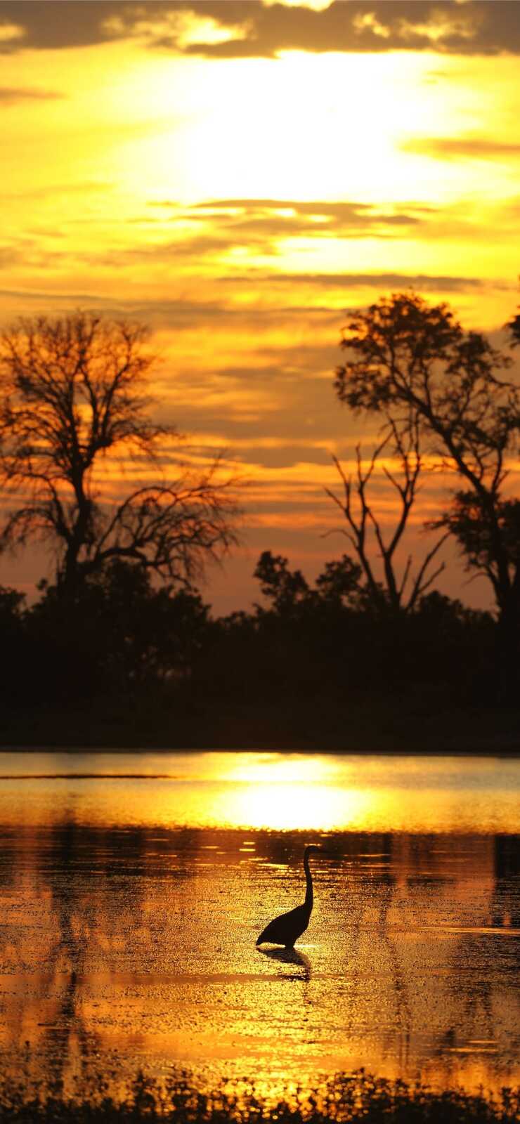 Zimbabwe Wallpapers (29 images) - WallpaperCat