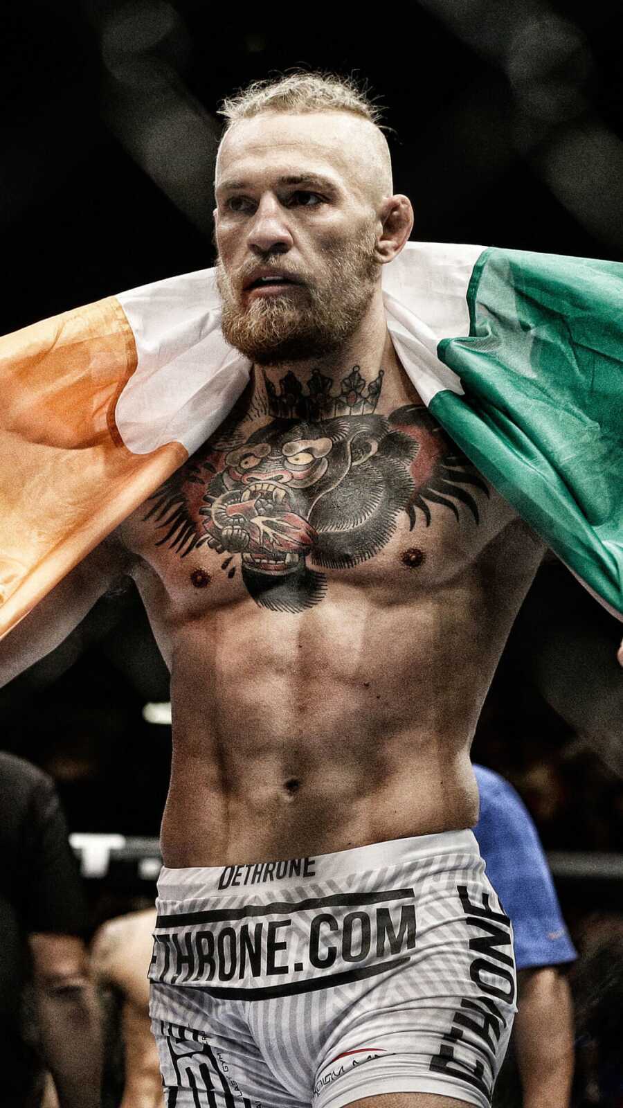 Conor McGregor Wallpapers (41 images) - WallpaperCat