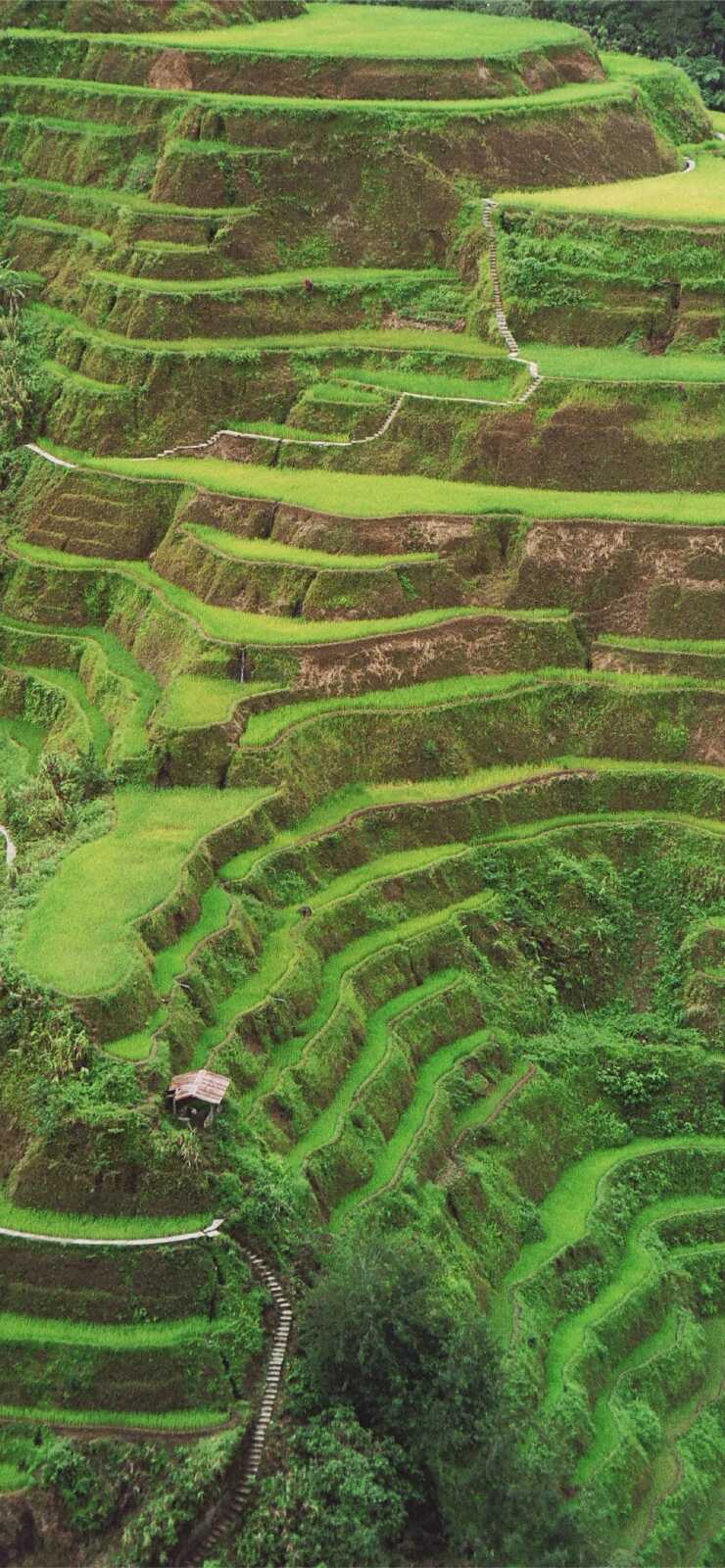Banaue Rice Terraces Wallpapers (32 images) - WallpaperCat