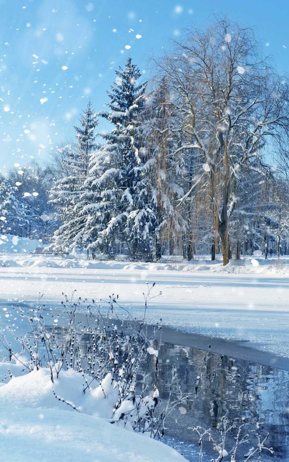 Snowfall Wallpapers (28 images) - WallpaperCat
