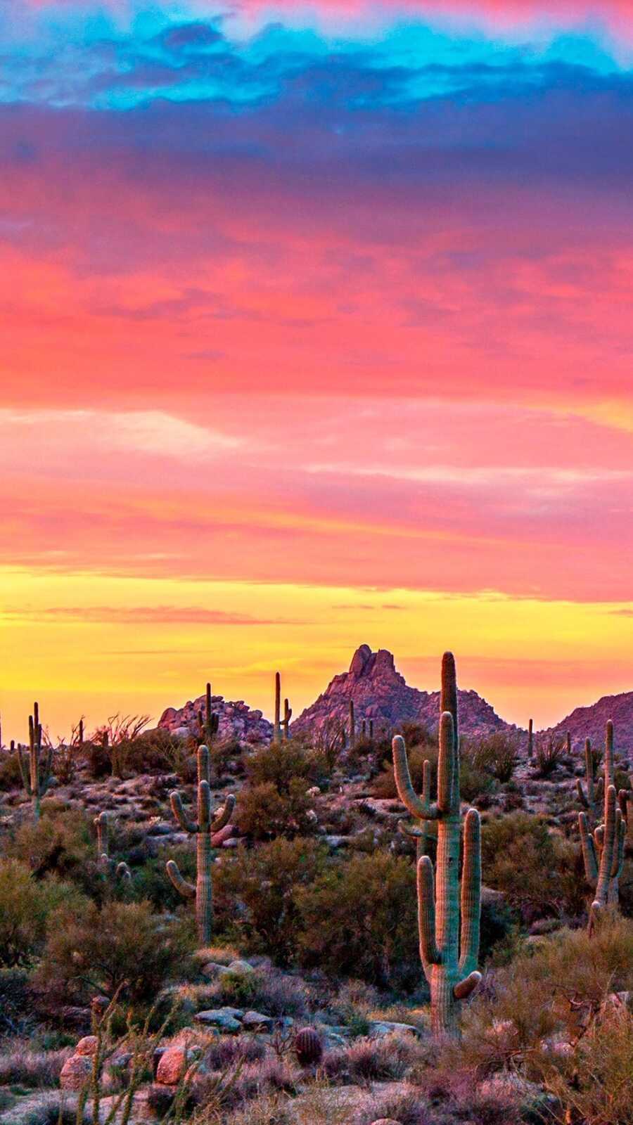 Arizona Wallpapers (48 images) - WallpaperCat