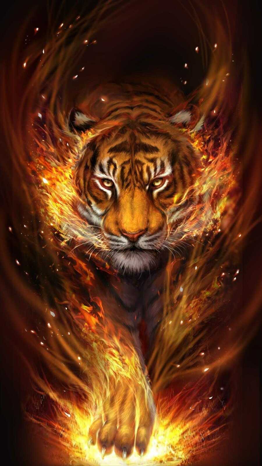Tiger Wallpapers (86 images) - WallpaperCat