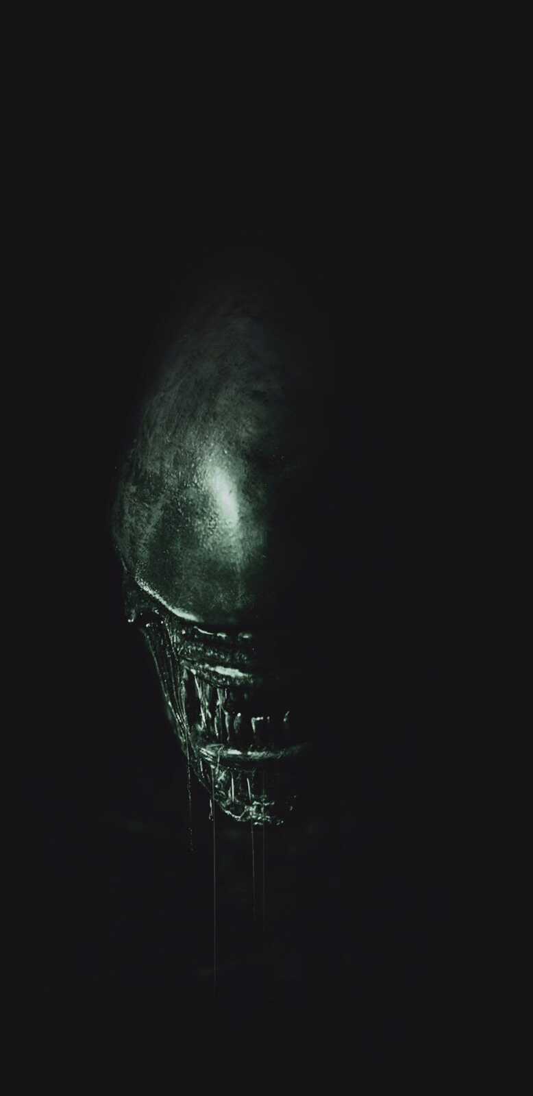 Alien (Movie) Wallpapers (26 images) - WallpaperCat