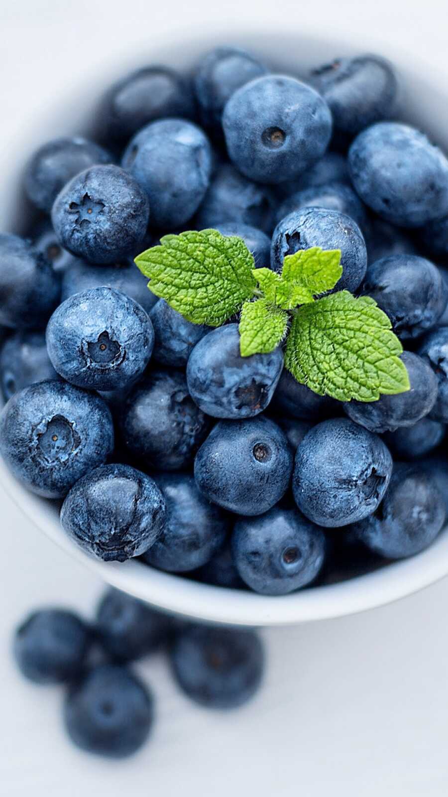 Blueberry Wallpapers (59 images) - WallpaperCat