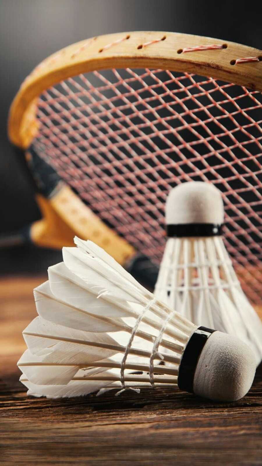 Badminton Wallpapers (32 images) - WallpaperCat