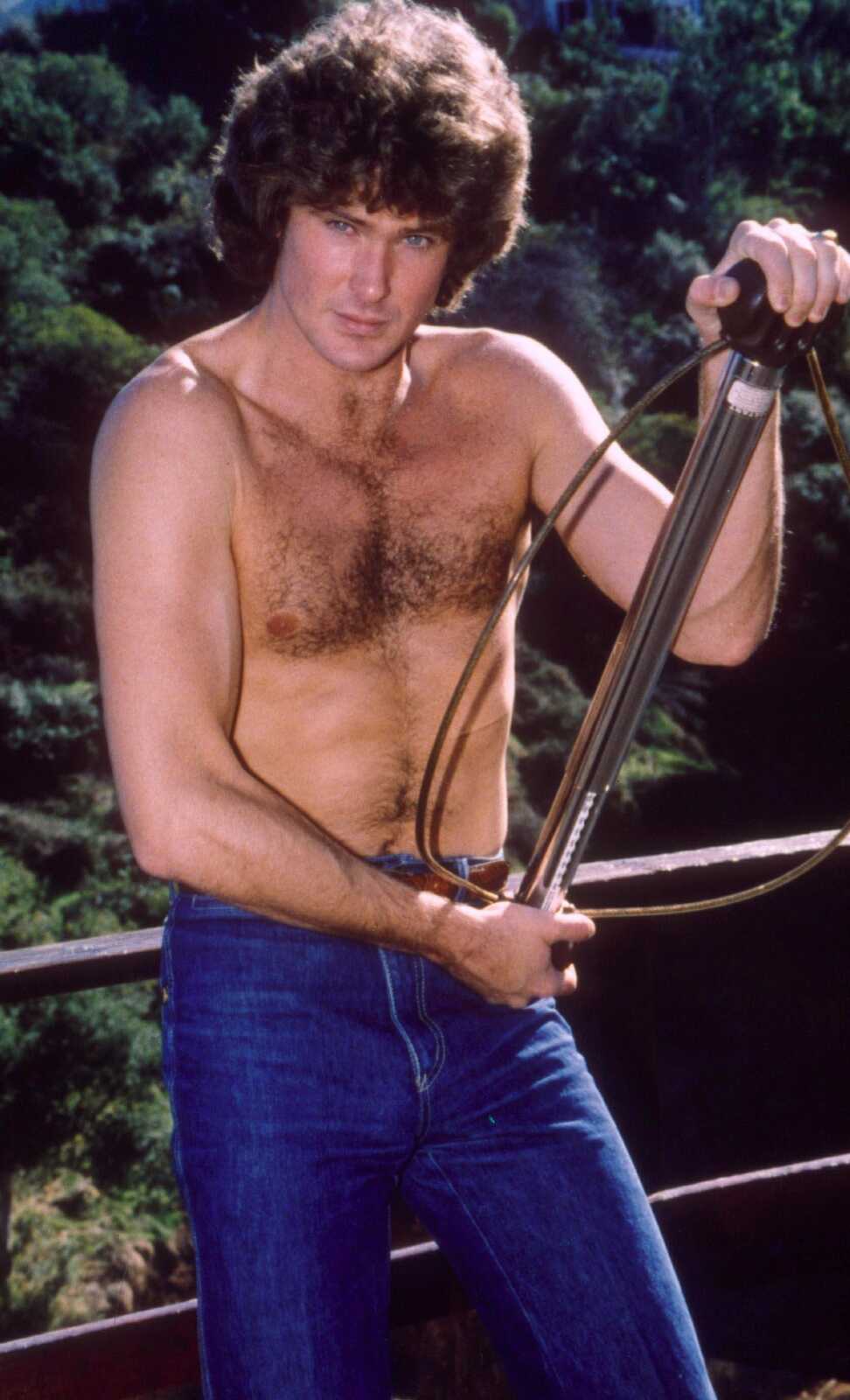 David Hasselhoff Wallpapers (37 images) - WallpaperCat