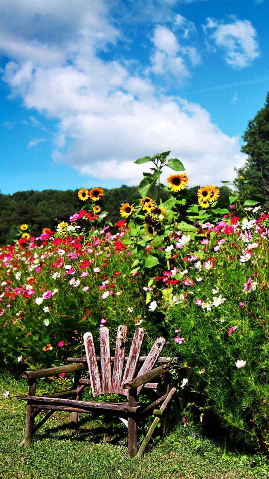 Flower Garden Wallpapers (27 images) - WallpaperCat