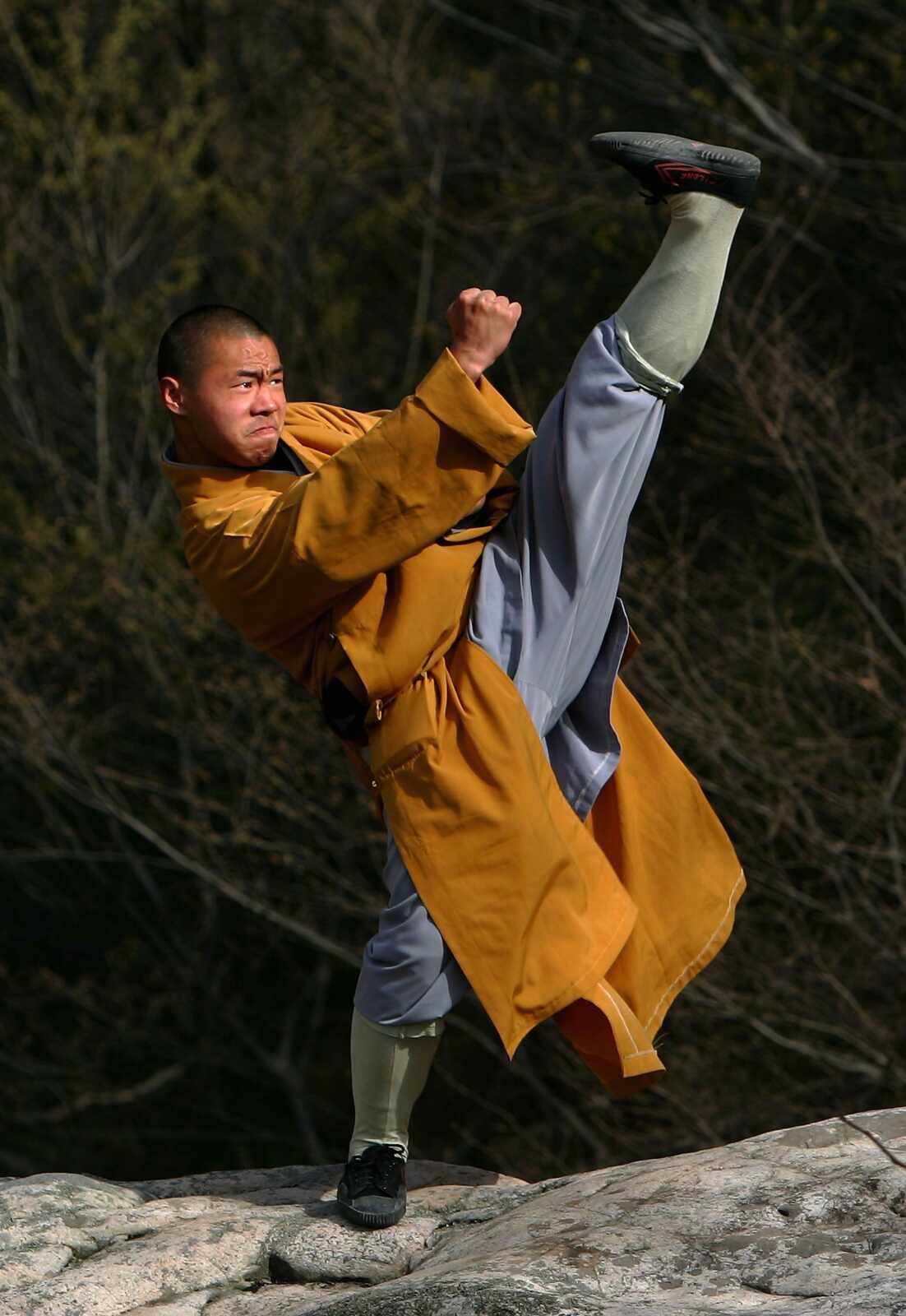 Shaolin Kung Fu Wallpapers (21 images) - WallpaperCat