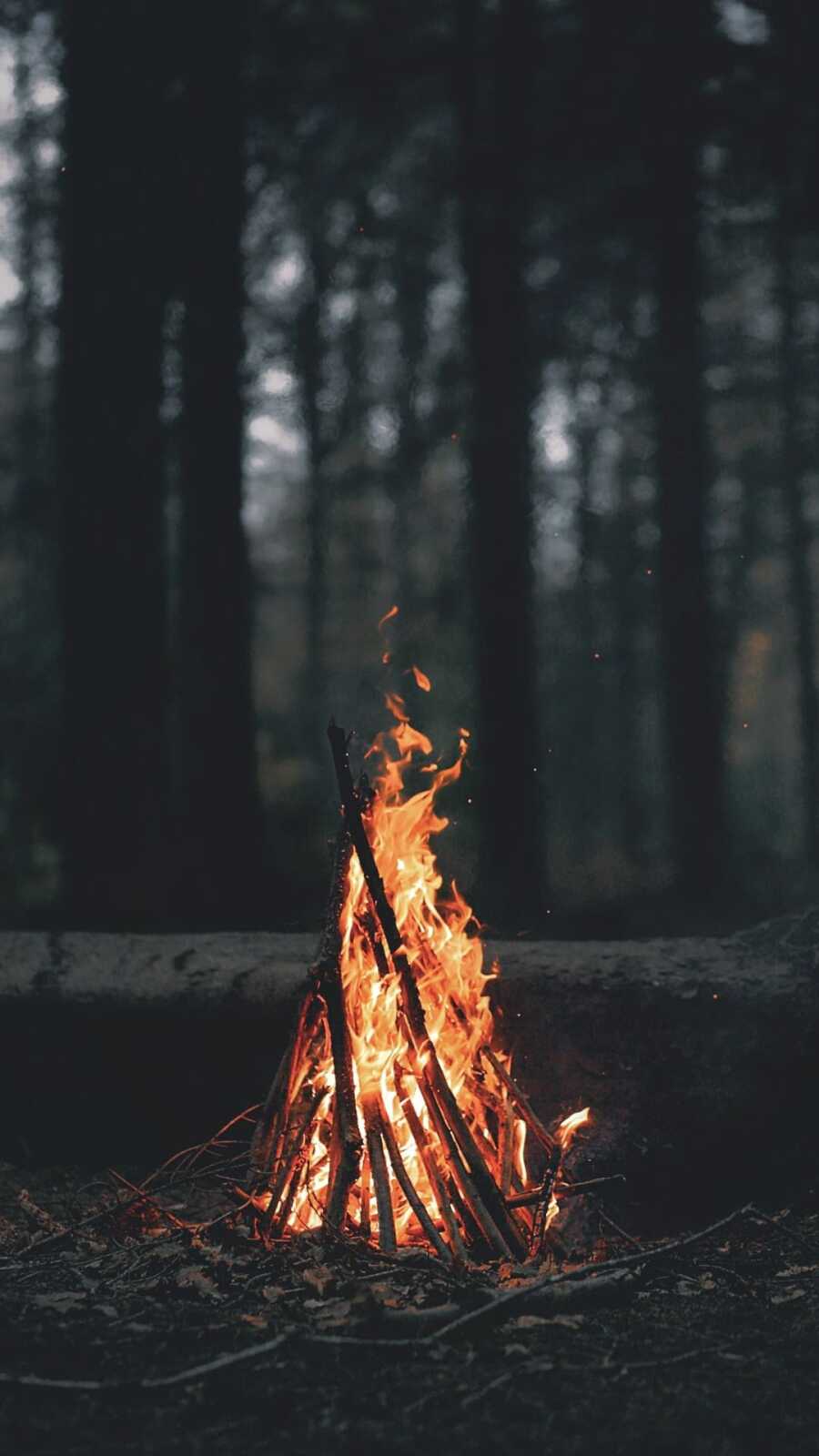 Fire Wallpapers (69 images) - WallpaperCat