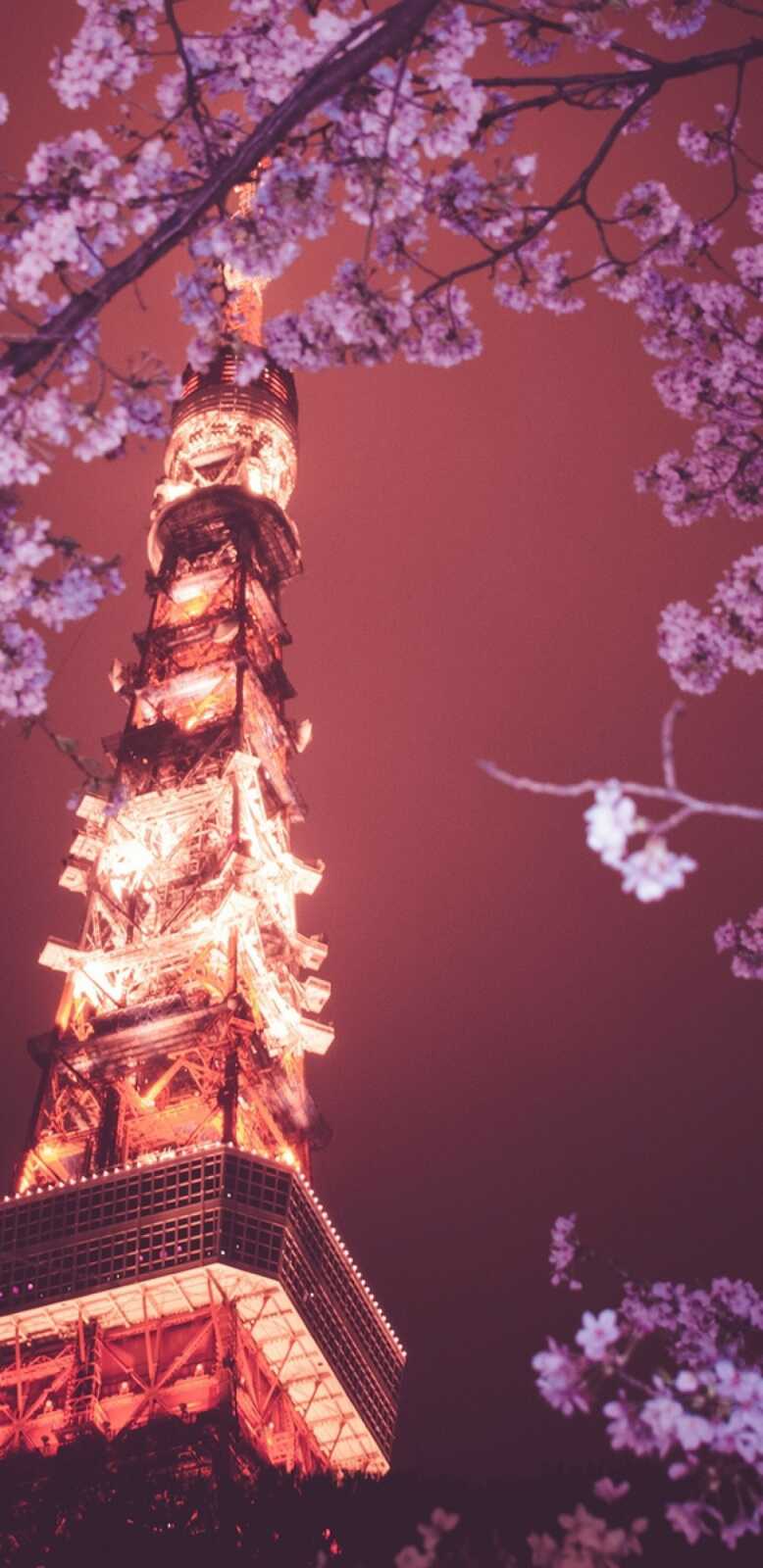 Japan Wallpapers (39 images) - WallpaperCat