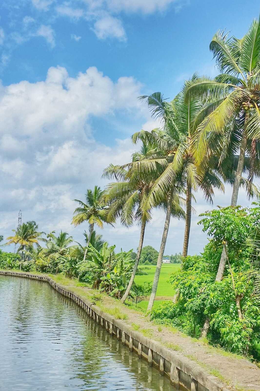 Kerala Wallpapers (43 images) - WallpaperCat