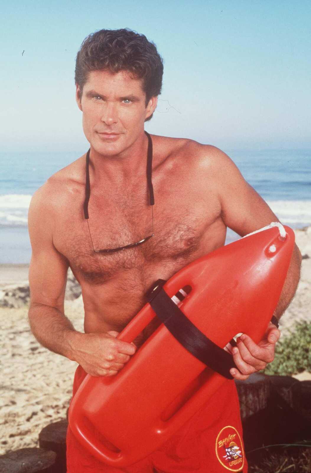 David Hasselhoff Wallpapers (37 images) - WallpaperCat