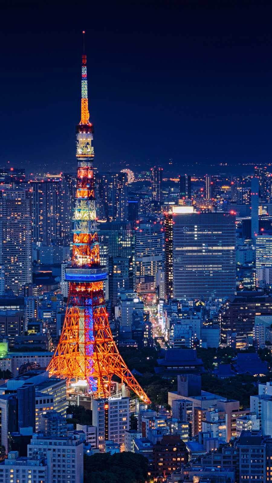 Tokyo Wallpapers (56 images) - WallpaperCat