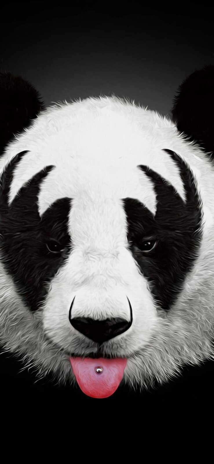 Panda Wallpapers (100 images) - WallpaperCat