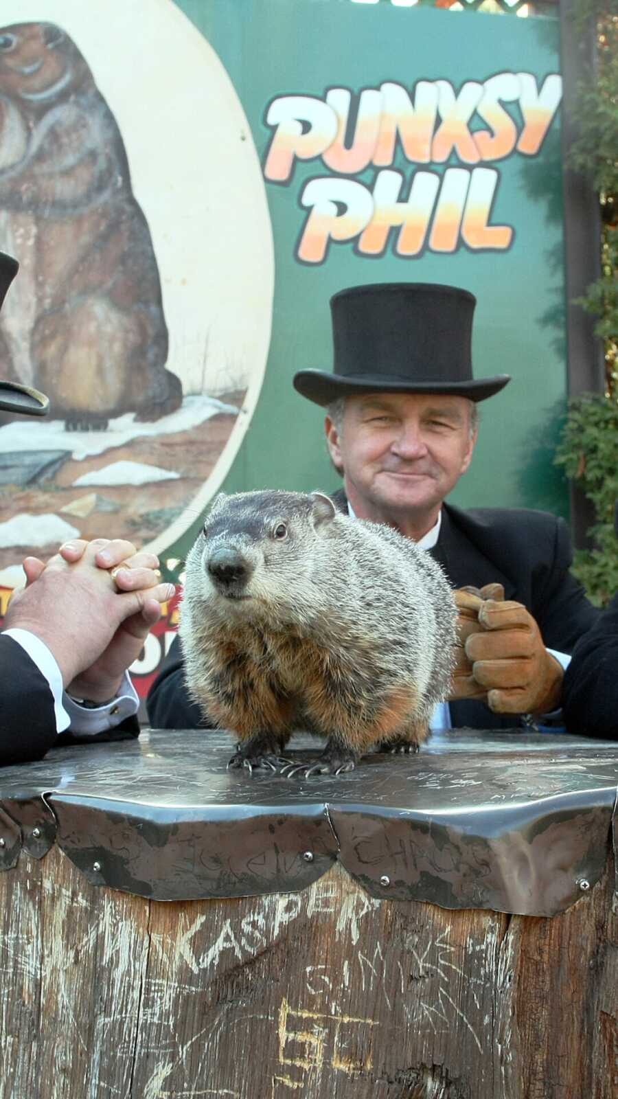 Groundhog Day (Holiday) Wallpapers (38 images) - WallpaperCat