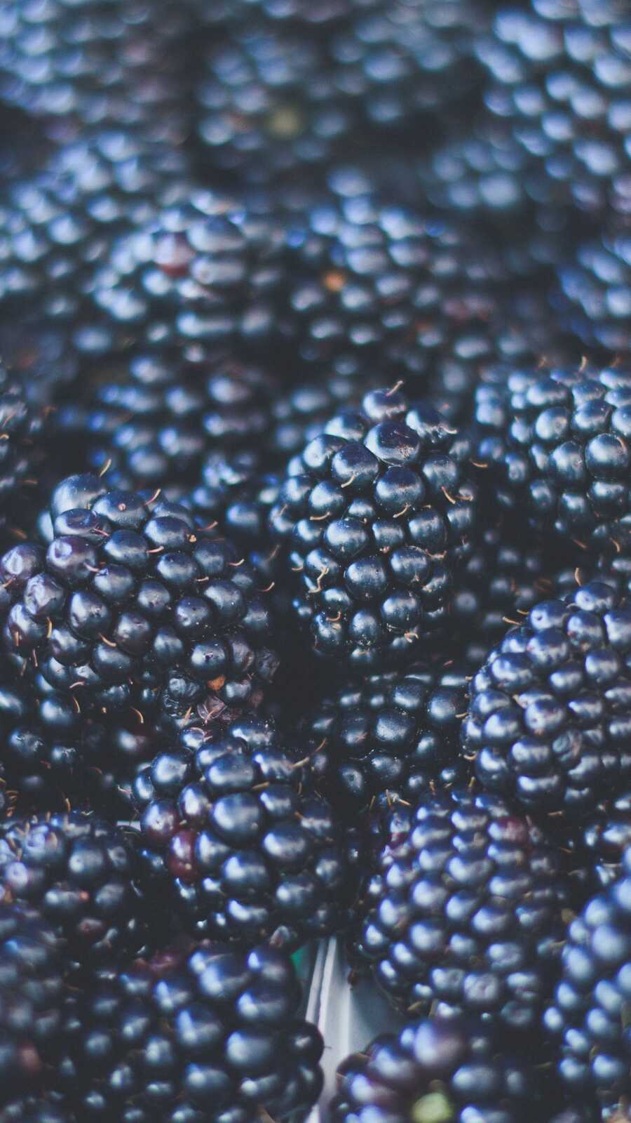 Blackberry Wallpapers (39 images) - WallpaperCat