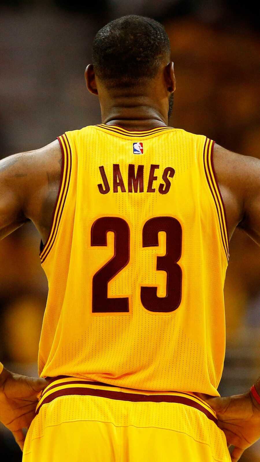 LeBron James Wallpapers (29 images) - WallpaperCat