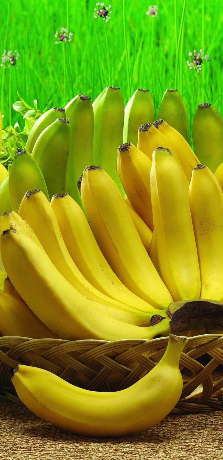 Banana Wallpapers (27 images) - WallpaperCat
