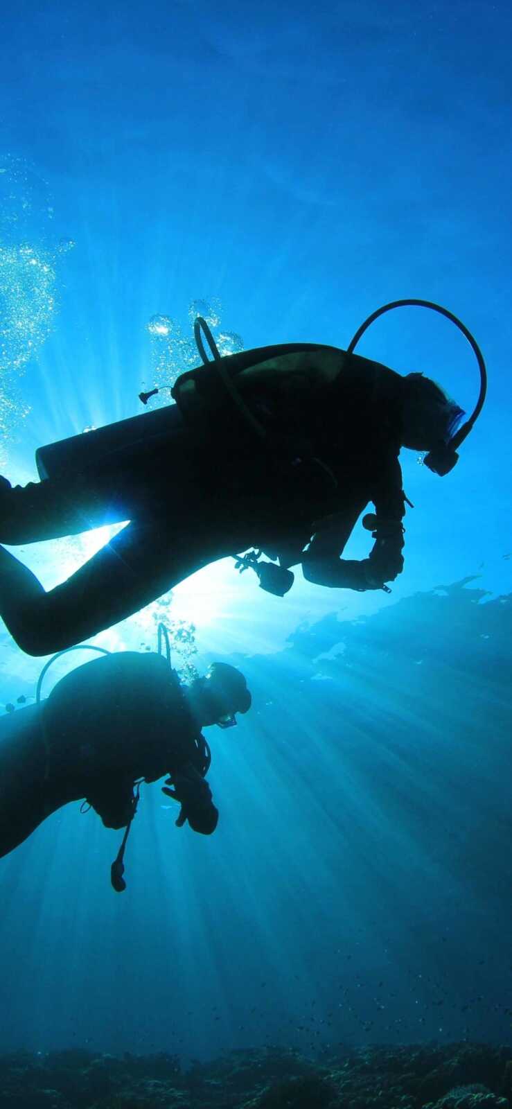 Diving Wallpapers (43 images) - WallpaperCat