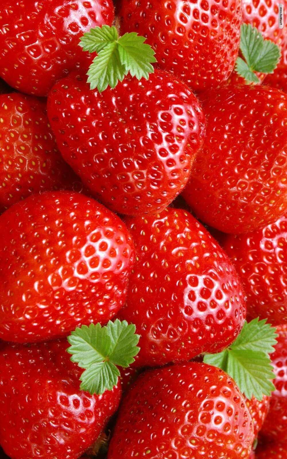 Strawberry Wallpapers (49 images) - WallpaperCat