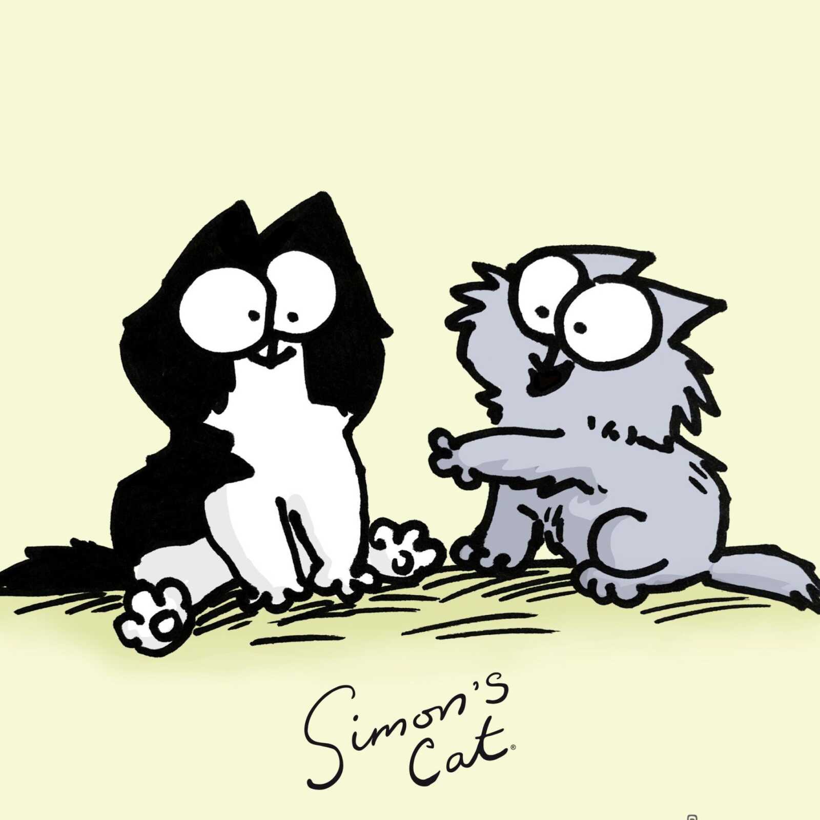 Simon's cat Wallpapers (46 images) - WallpaperCat