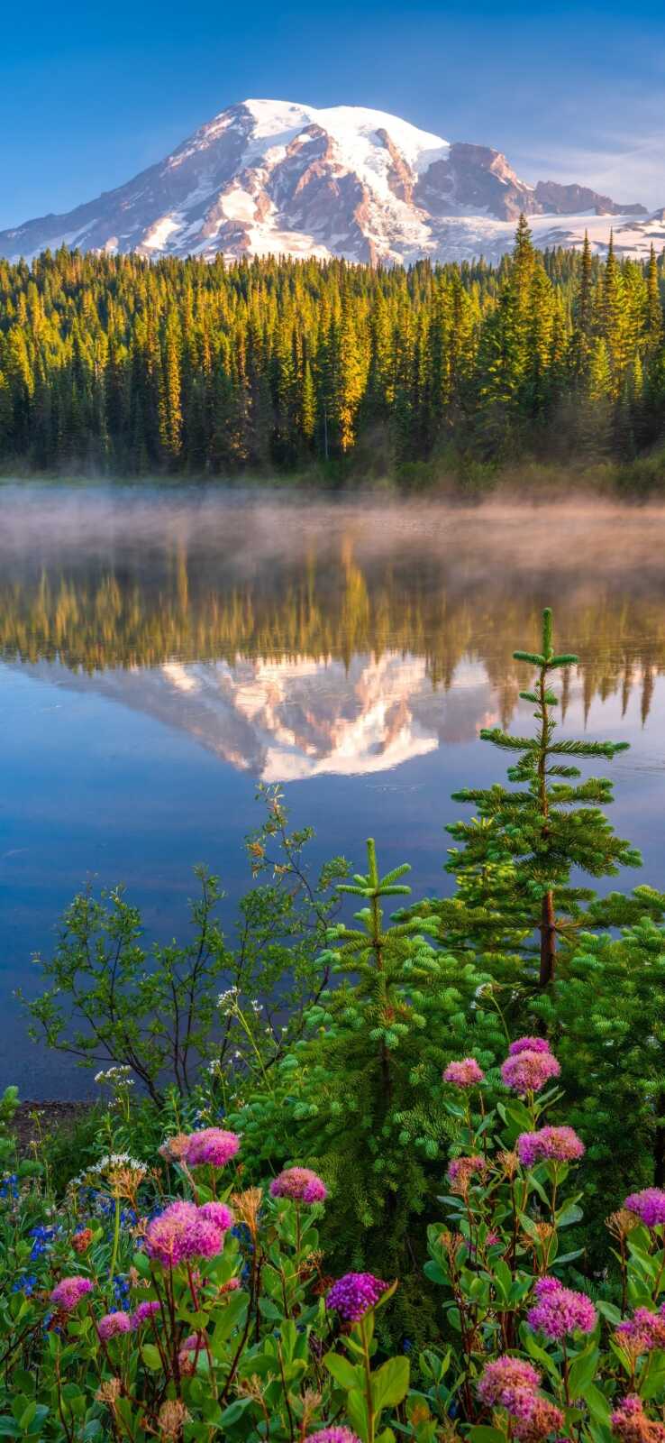 Mount Rainier National Park Wallpapers (50 images) - WallpaperCat