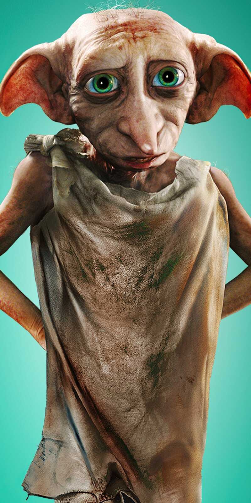 Dobby Wallpapers (8 images) - WallpaperCat