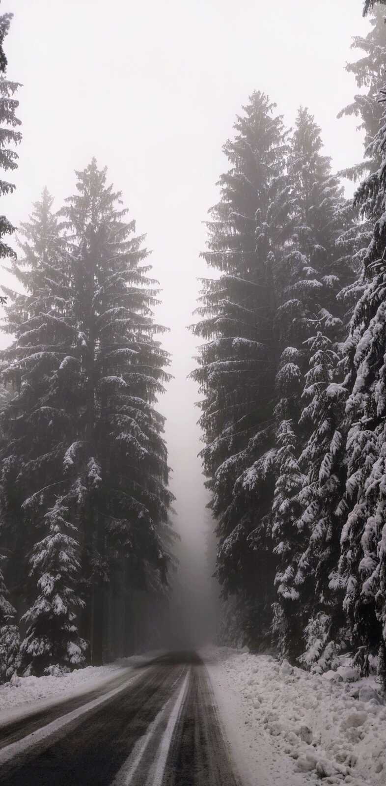 Ice Storm Wallpapers (18 images) - WallpaperCat