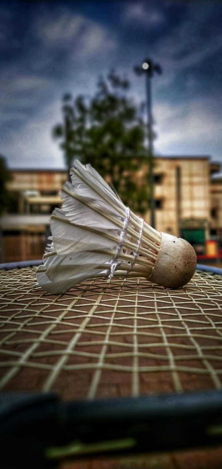 Badminton Wallpapers (32 images) - WallpaperCat