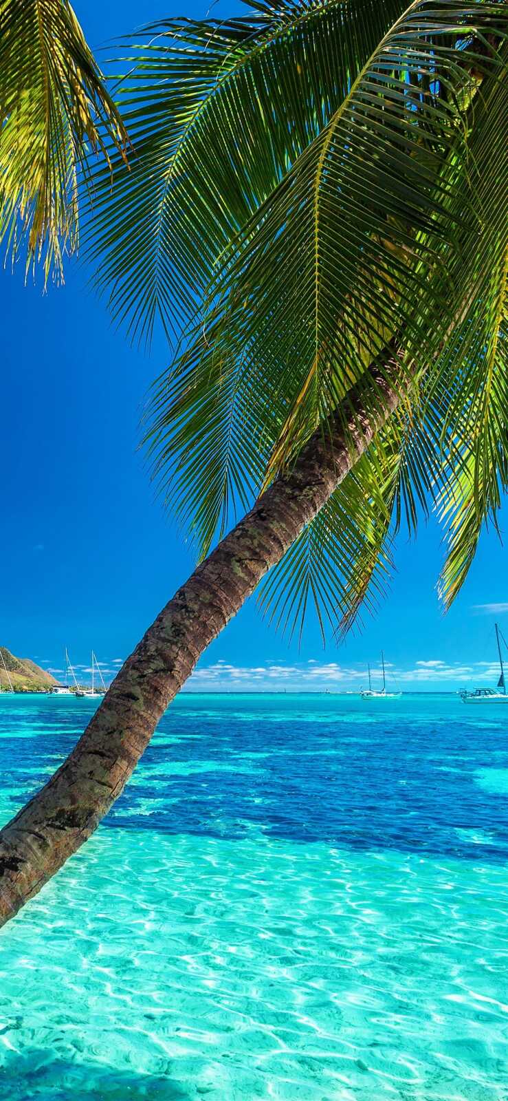 Summer Wallpapers (99 images) - WallpaperCat