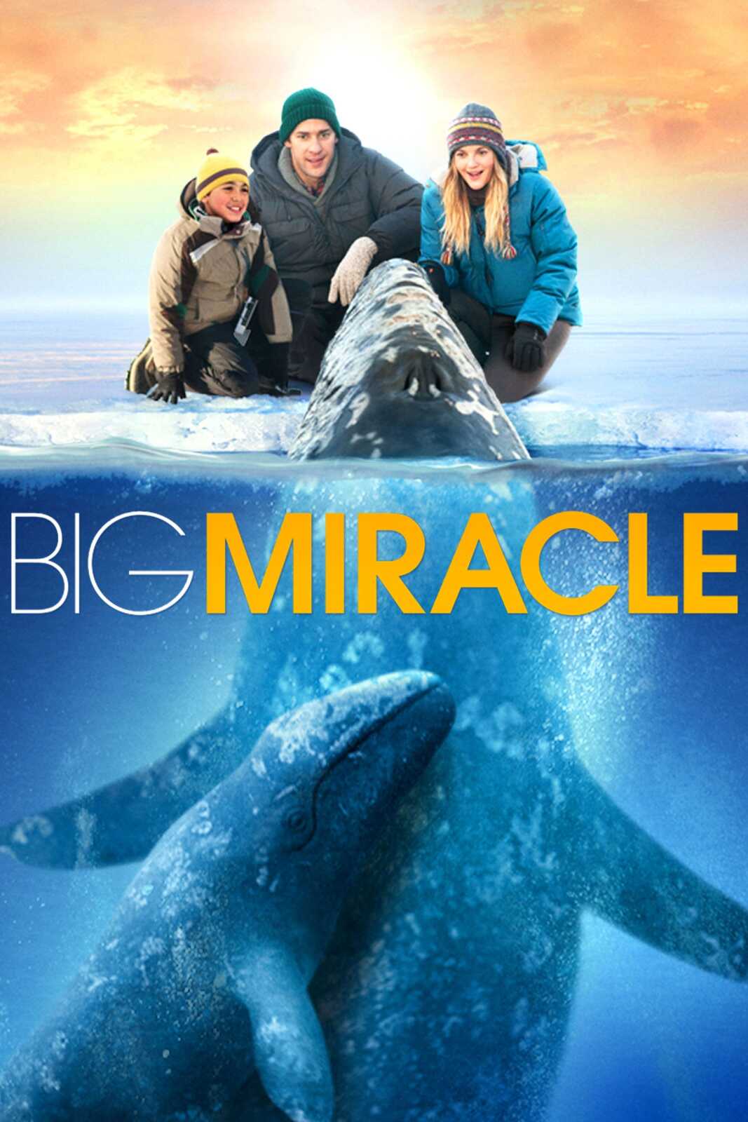 Big Miracle Wallpapers (11 images) - WallpaperCat