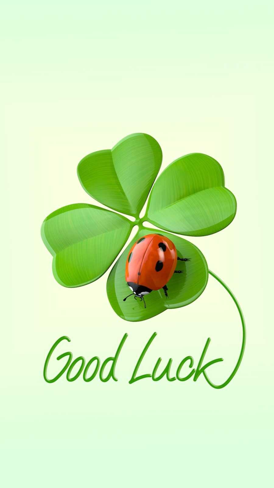 Good Luck Wallpapers (16 images) - WallpaperCat