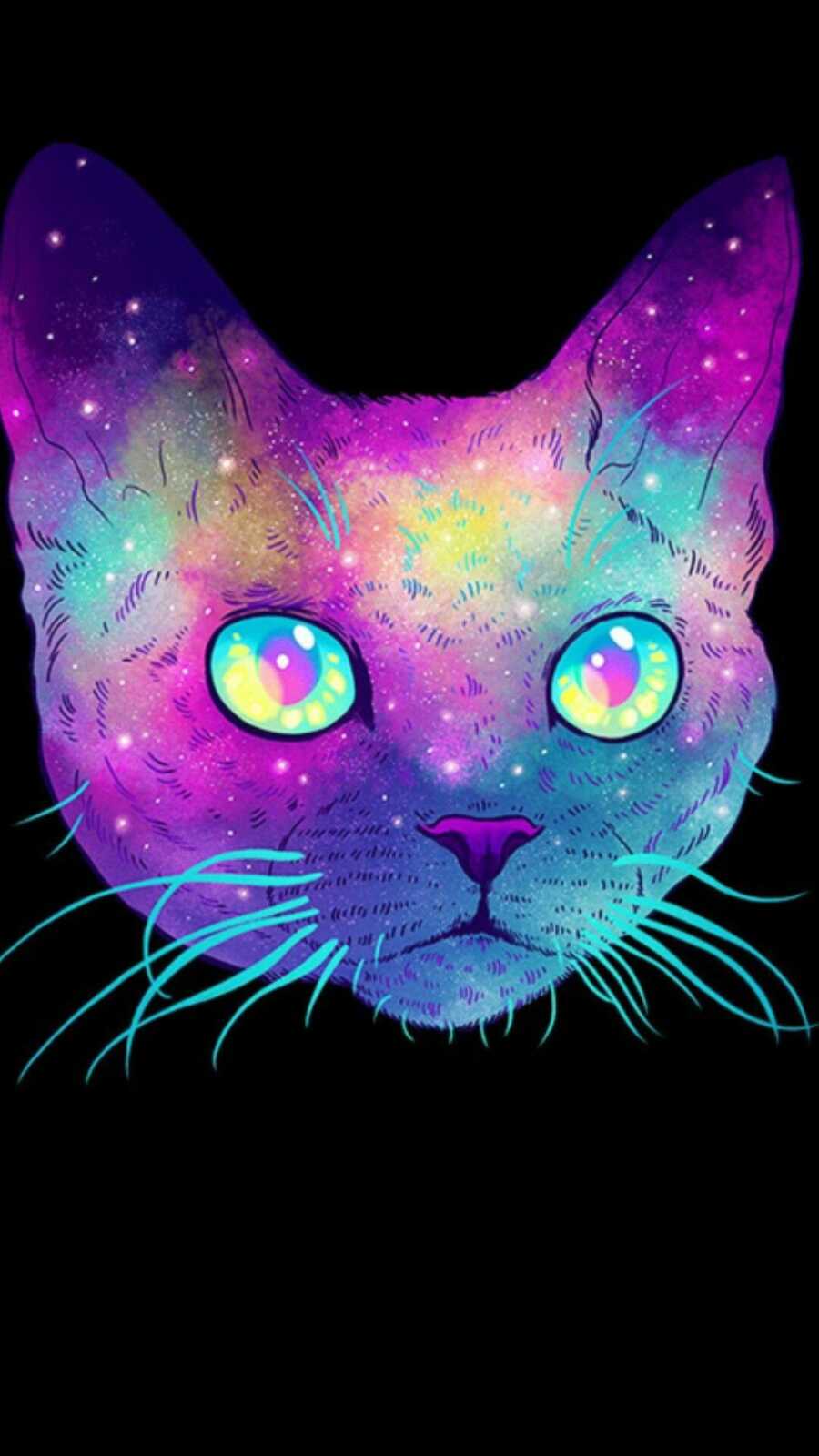 Galaxy Cat Wallpapers (28 images) - WallpaperCat
