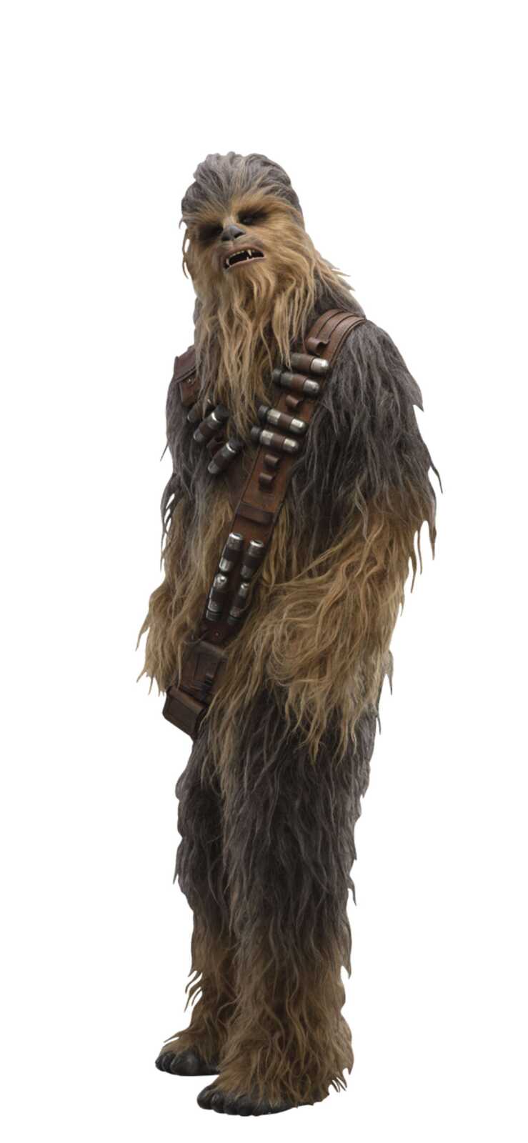 Chewbacca Wallpapers (26 images) - WallpaperCat