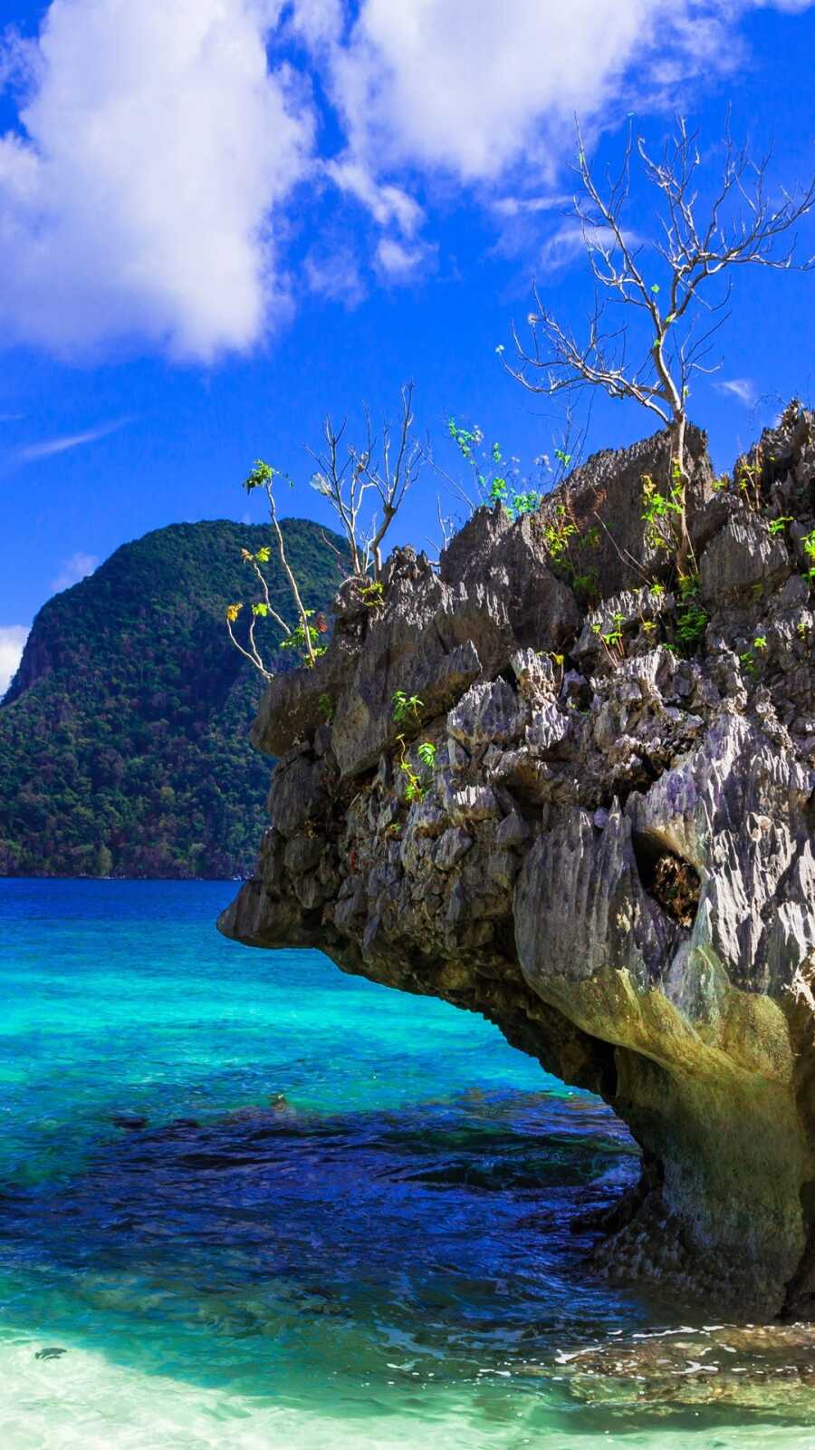 Palawan Wallpapers (76 images) - WallpaperCat
