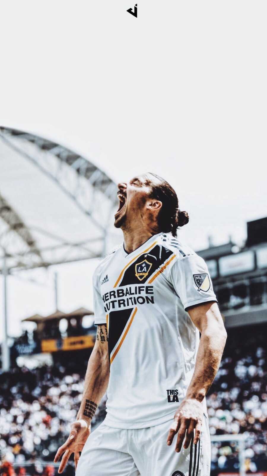 Zlatan Ibrahimovic Wallpapers (54 images) - WallpaperCat