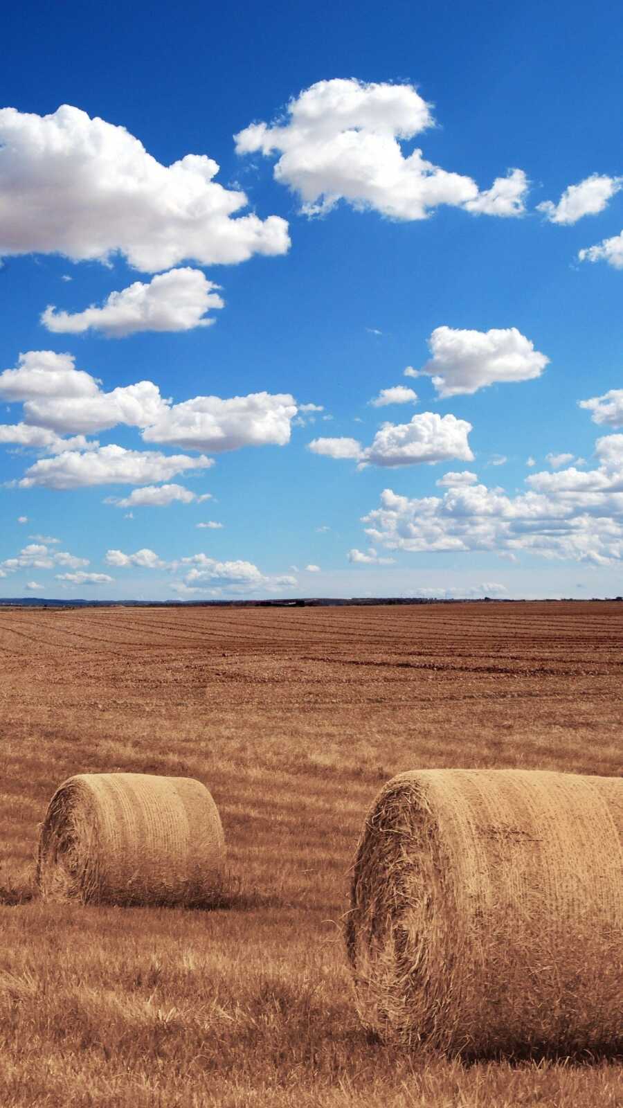 Farm Wallpapers (97 images) - WallpaperCat