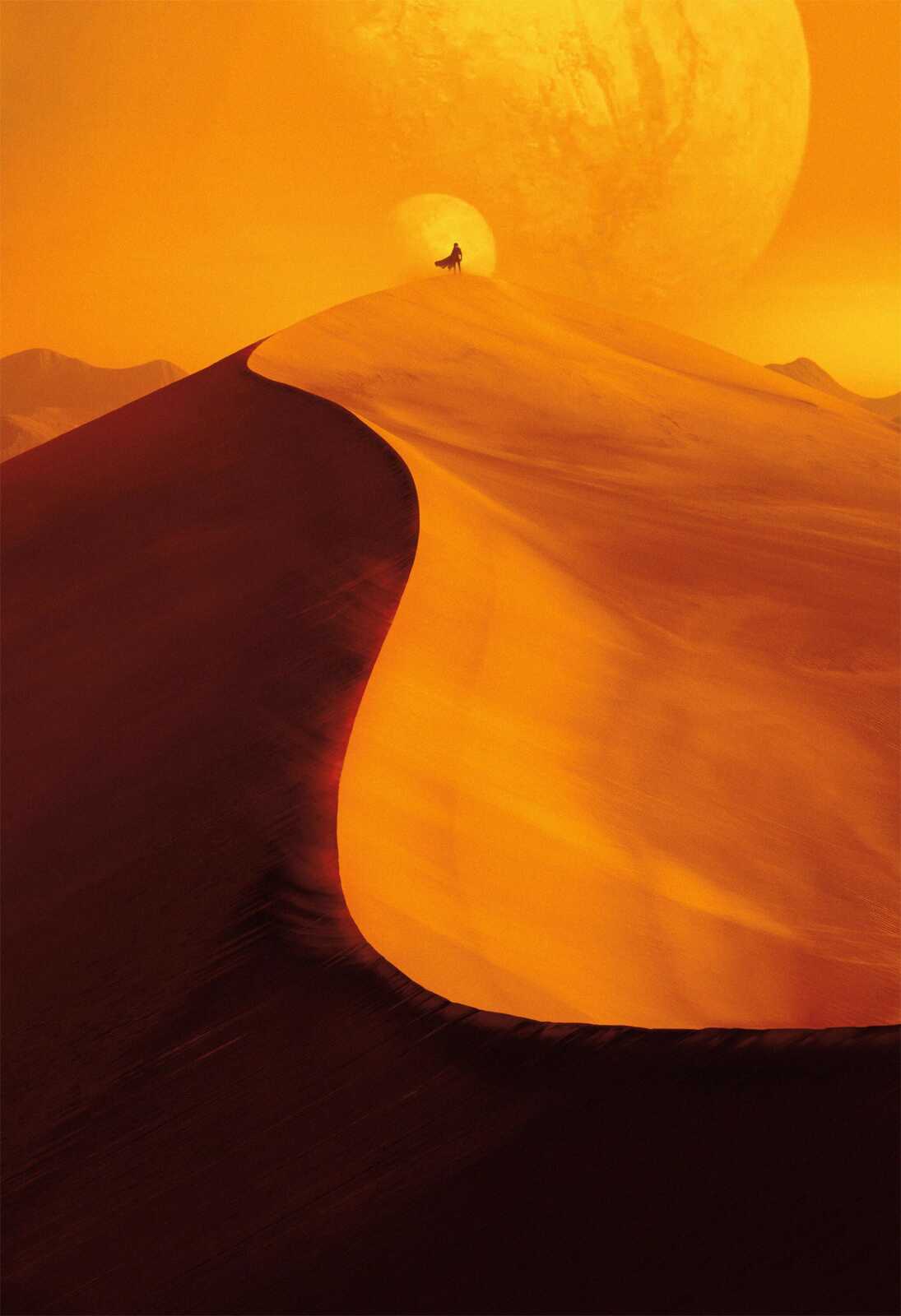 Dune Wallpapers (57 images) - WallpaperCat