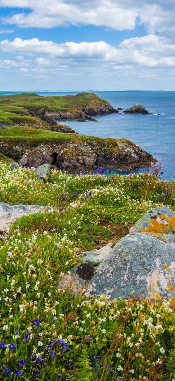 Ireland Wallpapers (41 images) - WallpaperCat