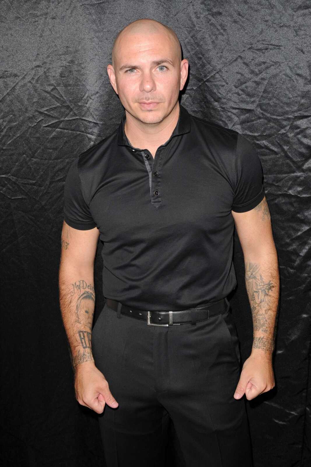 Pitbull (Rapper) Wallpapers (67 images) - WallpaperCat