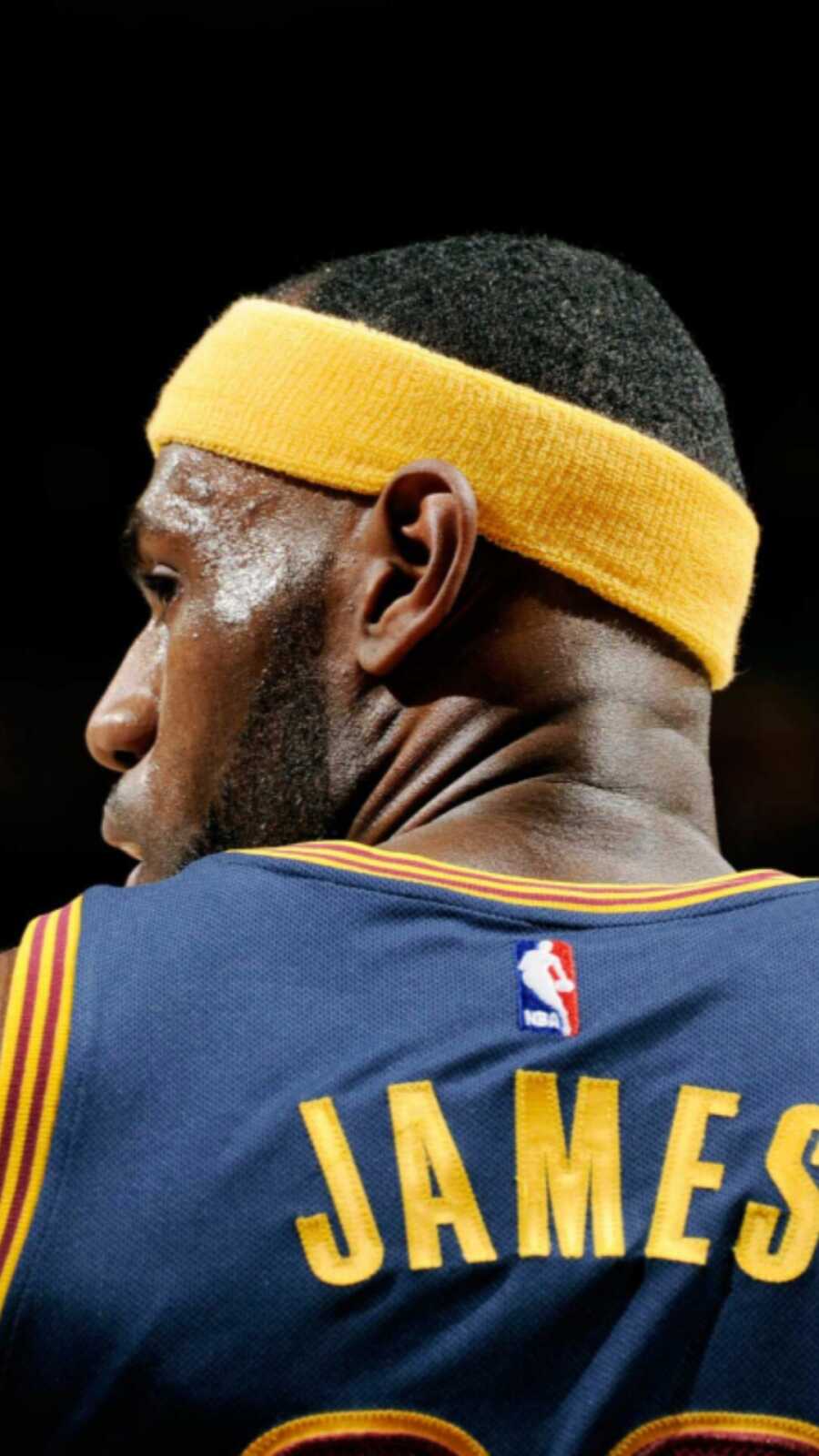 LeBron James Wallpapers (29 images) - WallpaperCat