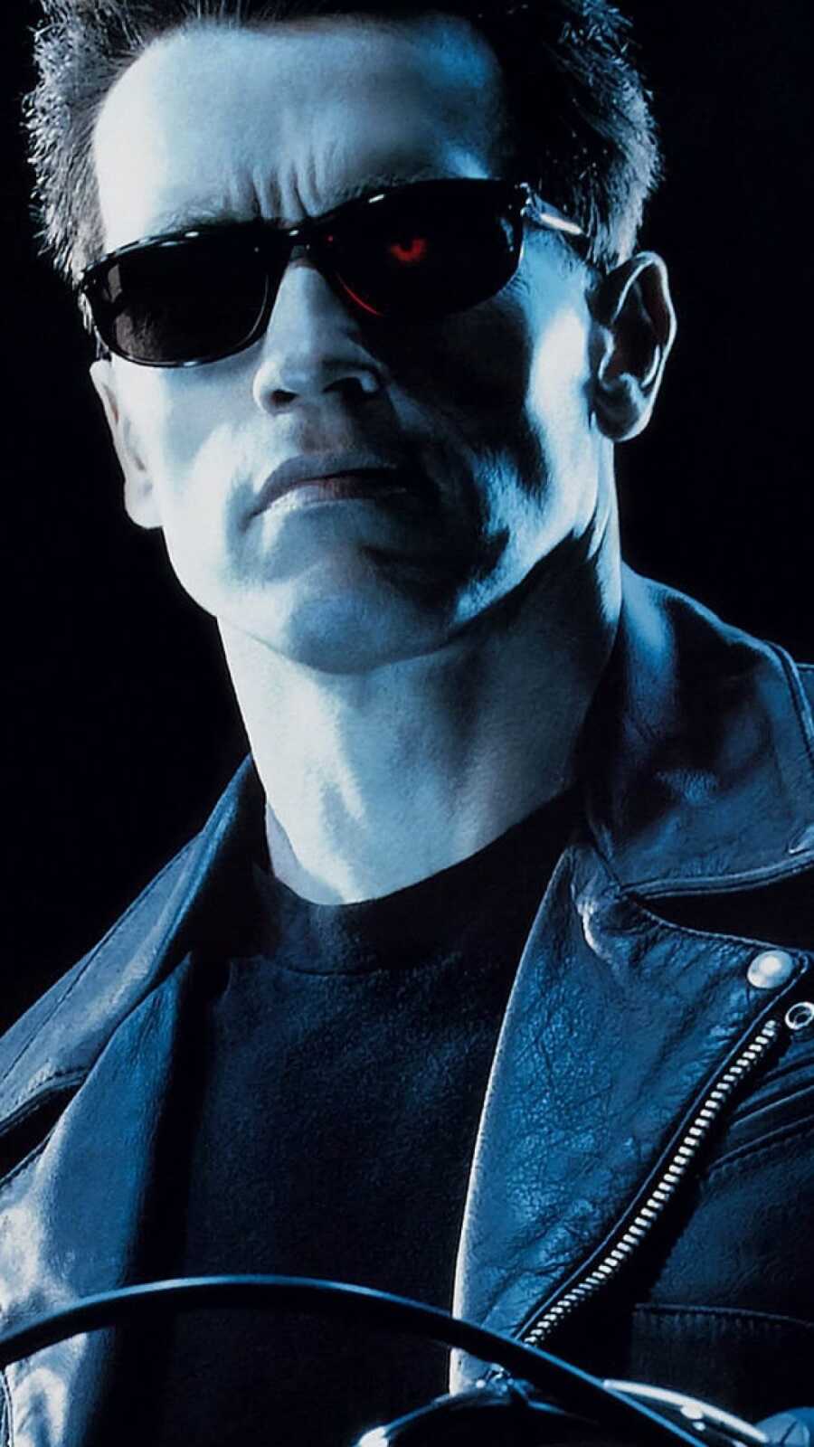 The Terminator Wallpapers (36 images) - WallpaperCat