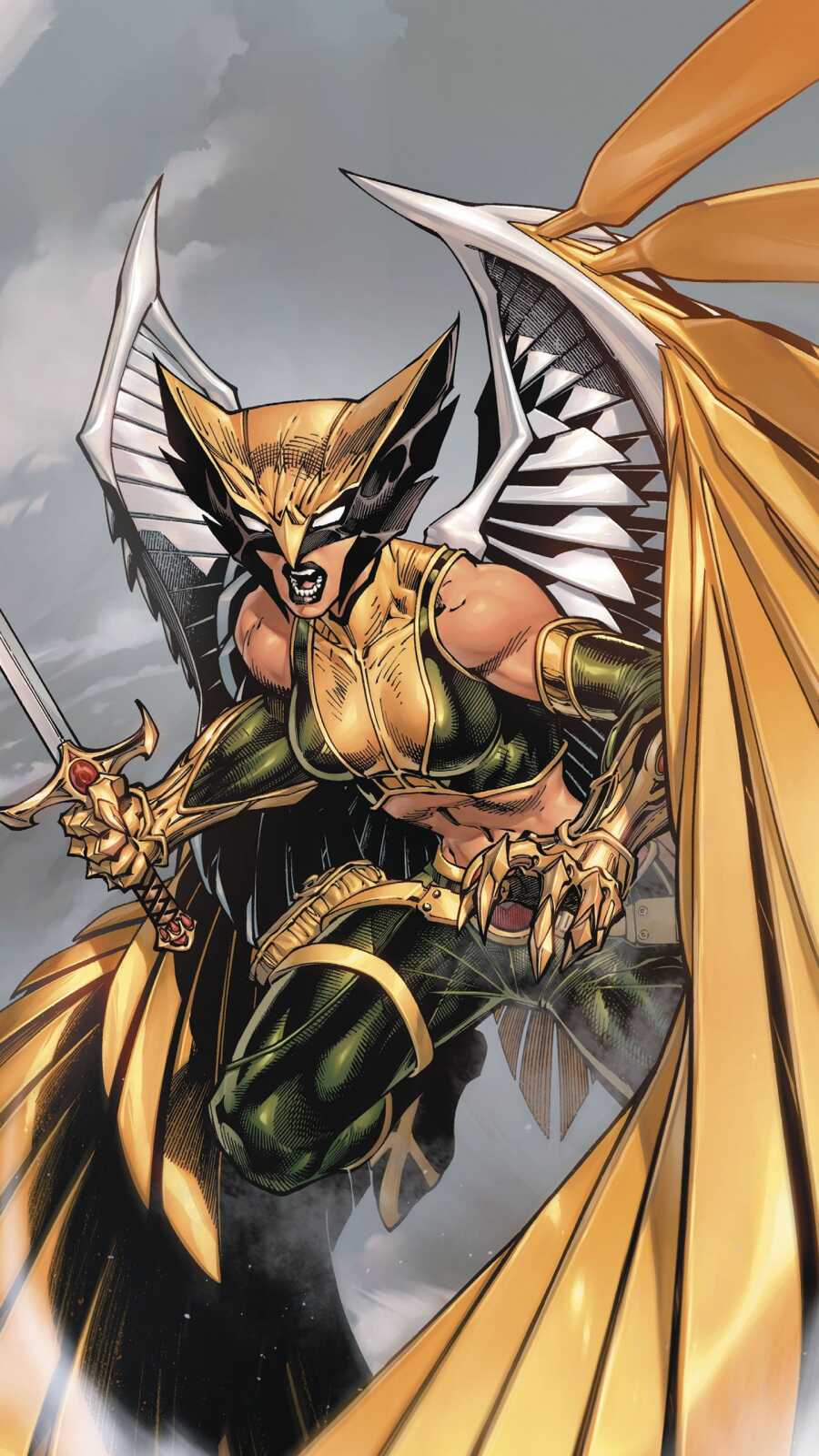 Hawkgirl Wallpapers 22 Images Wallpapercat