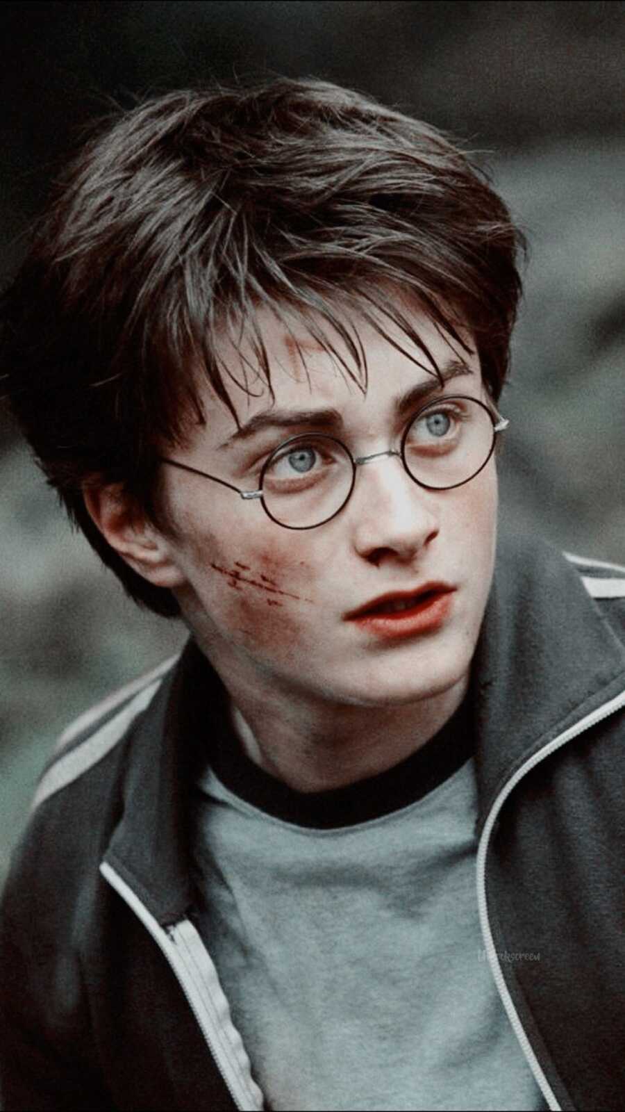 Daniel Radcliffe Wallpapers (69 images) - WallpaperCat