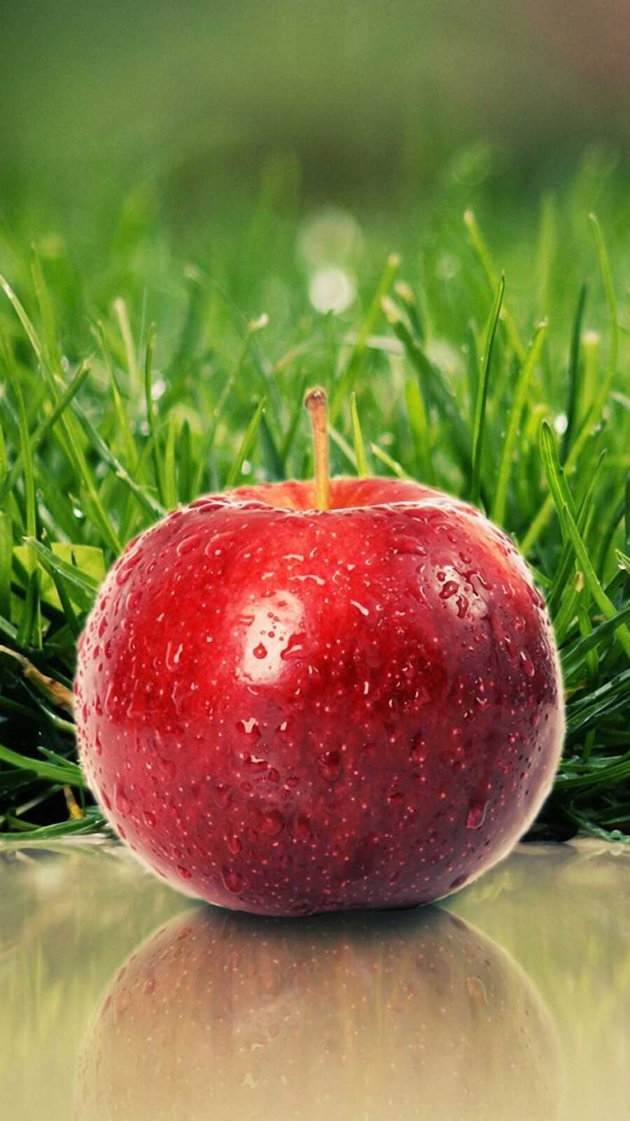Apple (Fruit) Wallpapers (49 images) - WallpaperCat