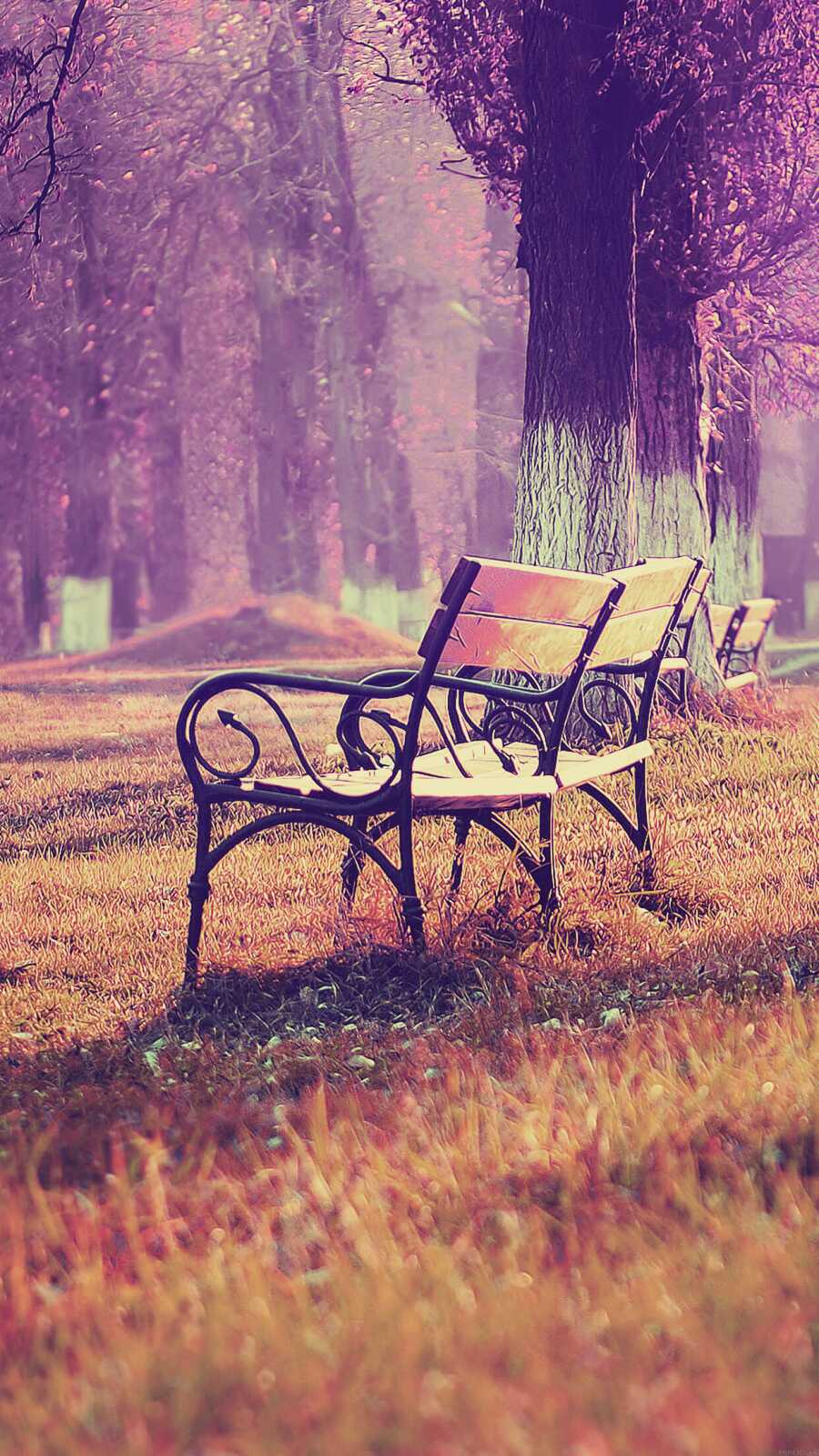 Park Wallpapers (32 images) - WallpaperCat